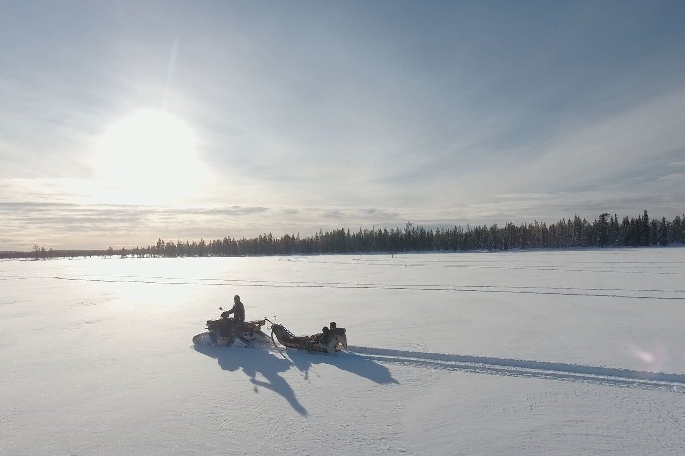 Top Lapland Activities for Adventure Seekers | Lapland Lodge