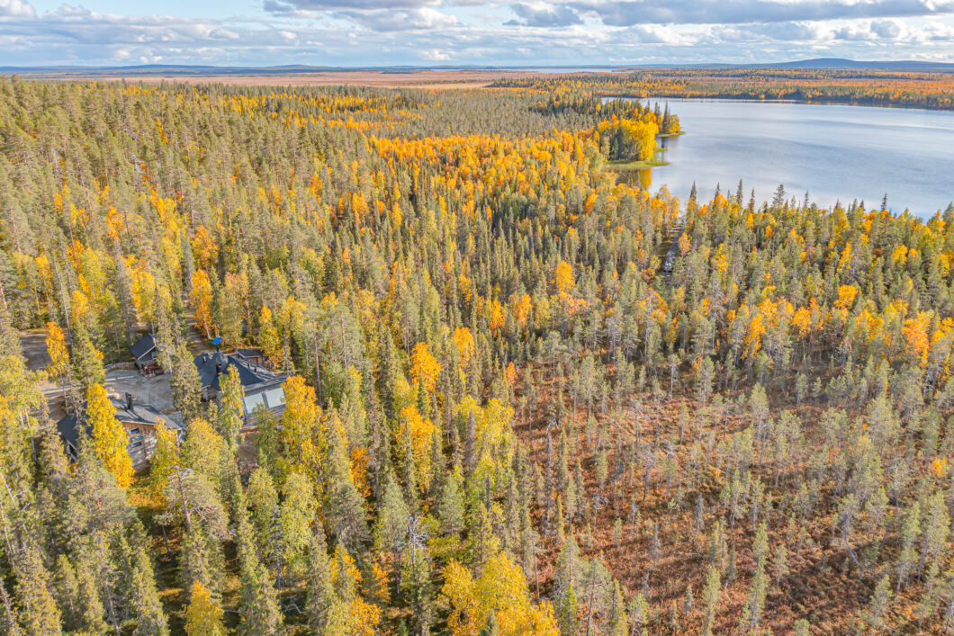 Autumn in Lapland: Weather and Travel Tips | Lapland Lodge