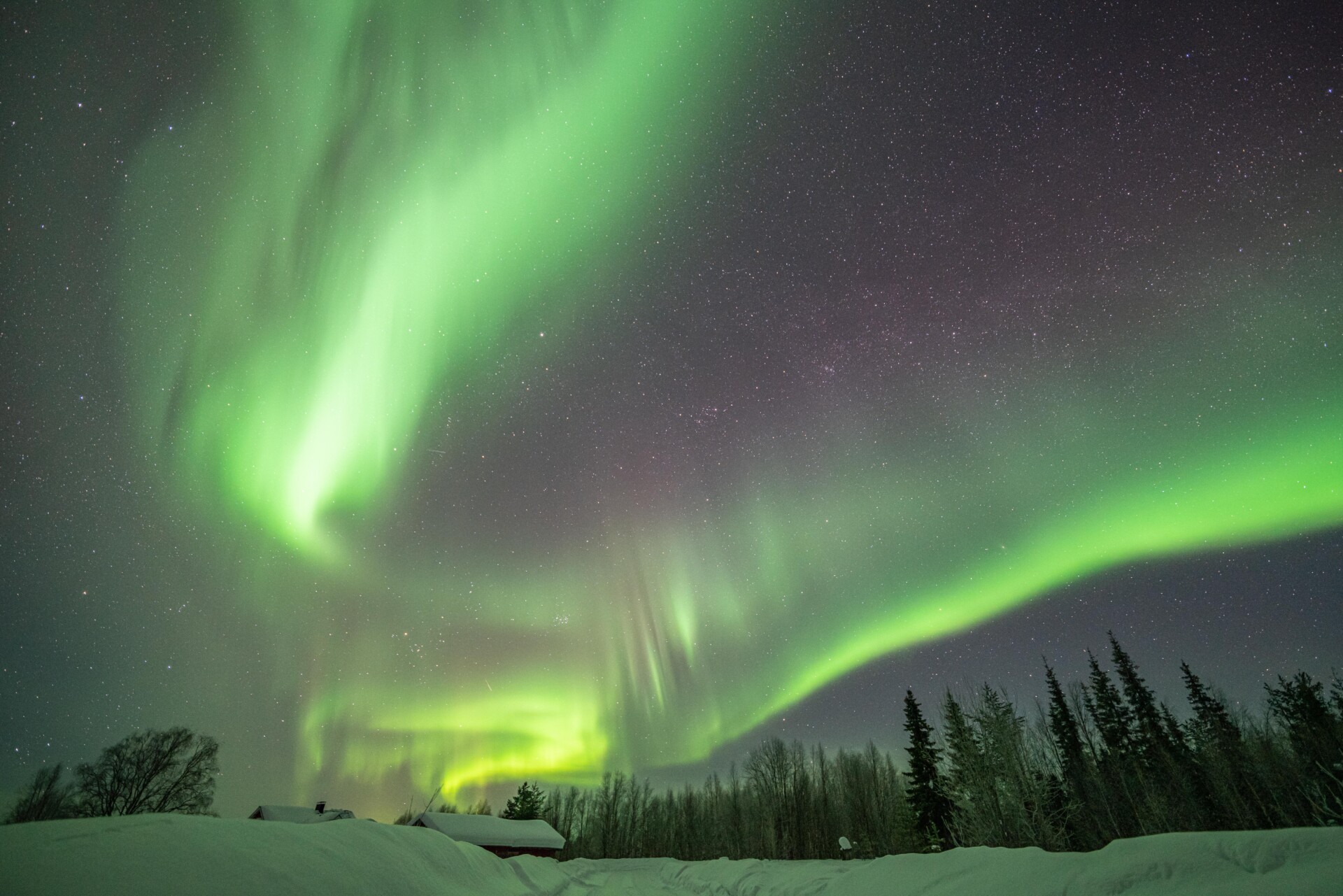 Captivating Lapland Aurora Borealis Experiences | Lapland Lodge